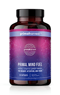 Top 5 Nootropic For Mind Boosting And Enhanced Focus - HaffPrice